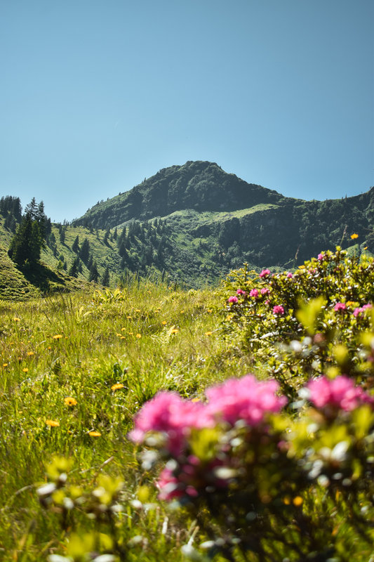 Gebra Gipfel Fieberbrunn | © (c) Sina Bodingbauer